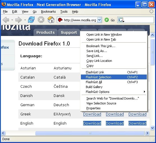 FlashGot下载_FlashGot中文版1.5.6.13-纯净之家